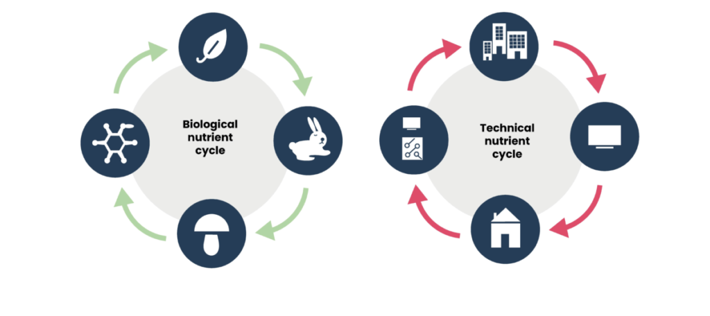 Are you familiar with circular product design strategies? - Ethica