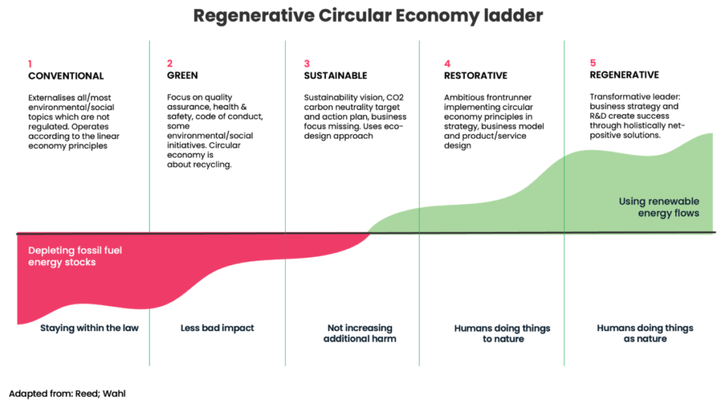 What does a regenerative circular economy mean in business? - Ethica